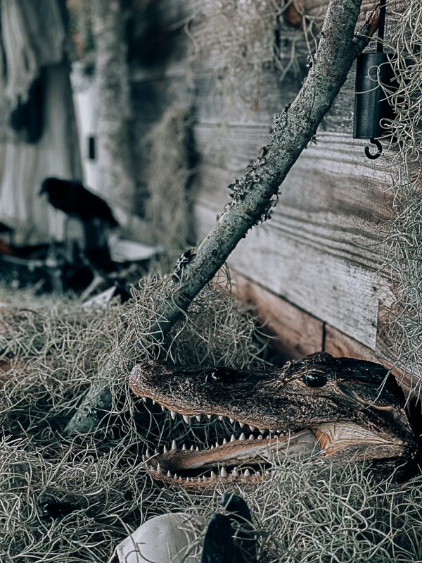 Haunted Swamp Halloween Decorating Ideas - Everyday Party Magazine
